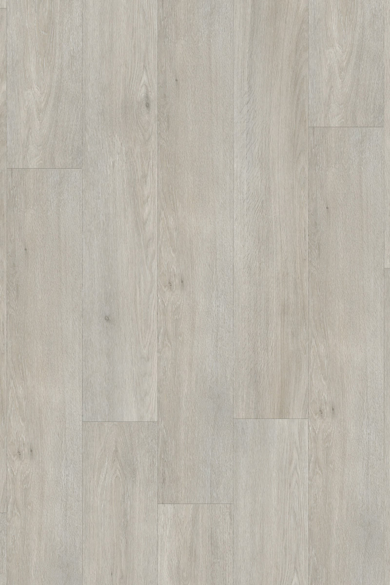 Silk Oak Light
