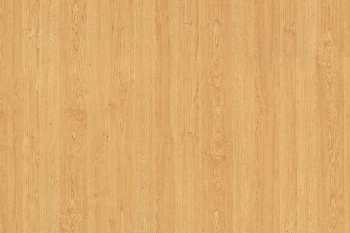 American Maple