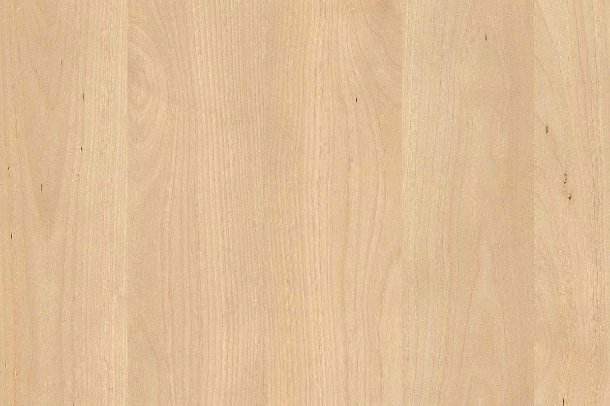 Natural Mandal Maple